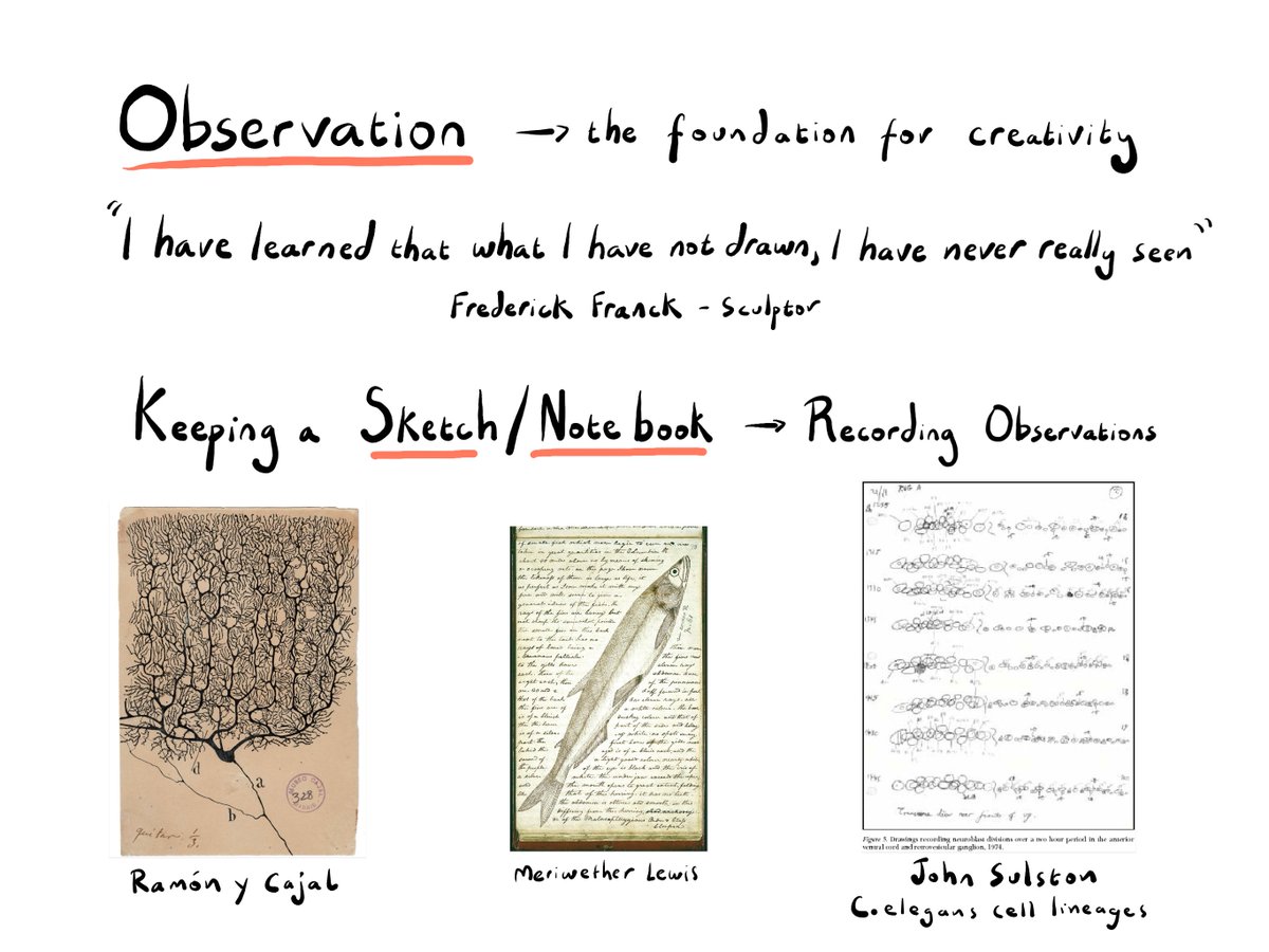 Thread by @ATJCagan on Thread Reader App – Thread Reader App