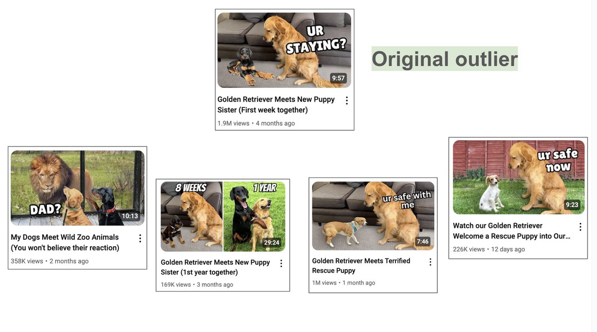 Thread by @PaddyG96 on Thread Reader App – Thread Reader App