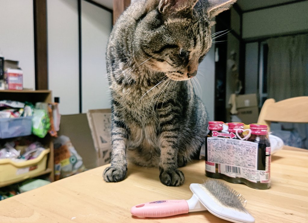 仁平政人 NiheiMasato(@m_nh) - Twilog (ツイログ)