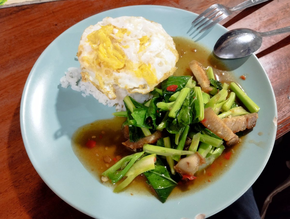 💀マヤカン🐥(@Sail_GT) - Twilog (ツイログ)