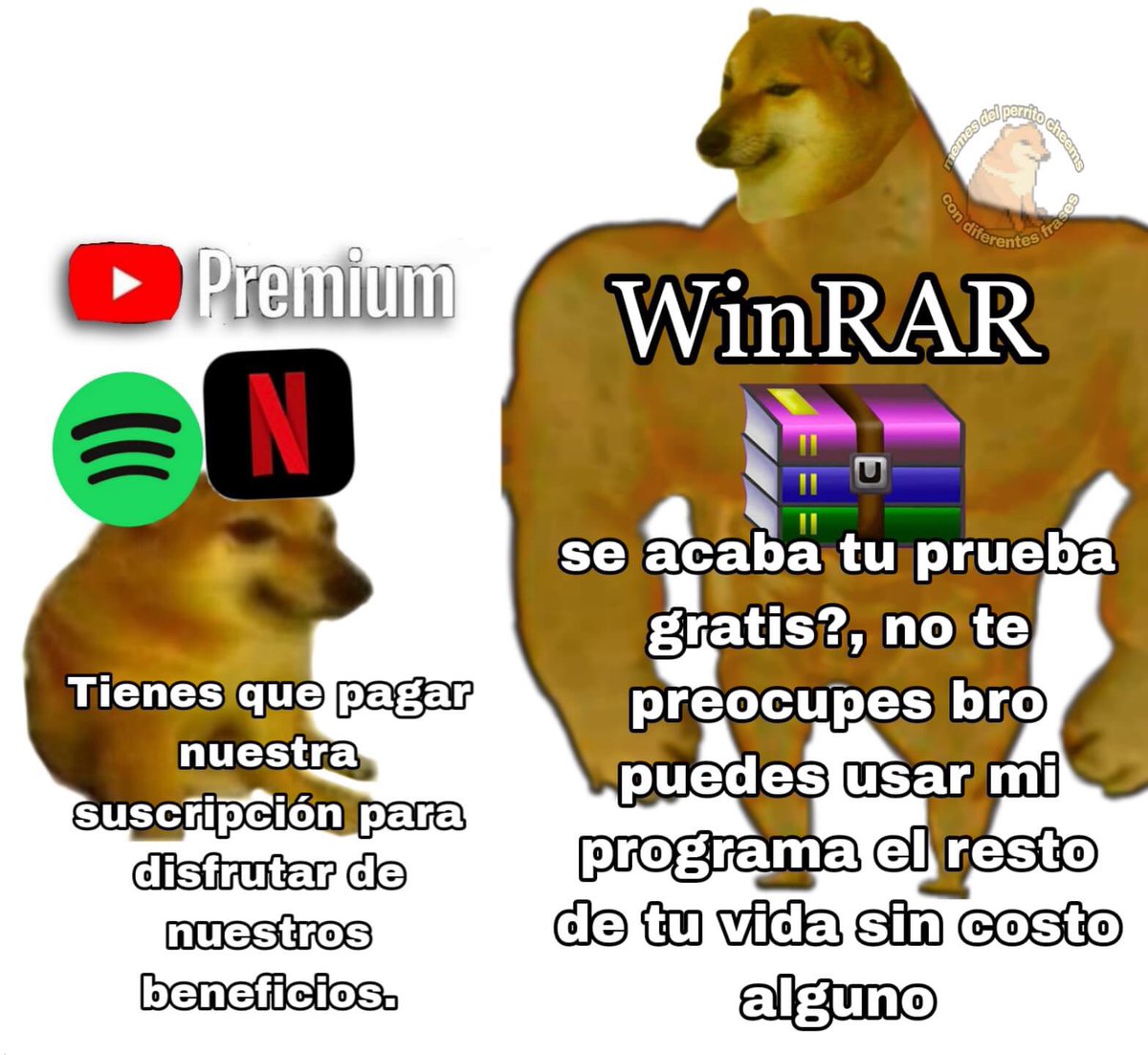 Programa Gratis Para Memes 8 Best Meme Maker Apps For Generating Memes