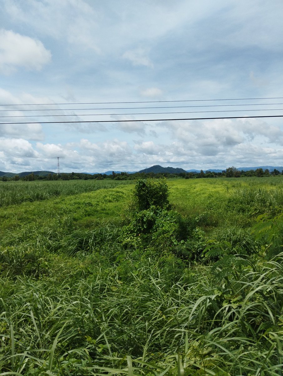 💀マヤカン🐥(@Sail_GT) - Twilog (ツイログ)