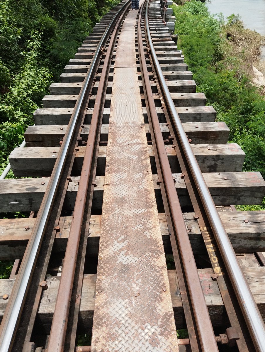 💀マヤカン🐥(@Sail_GT) - Twilog (ツイログ)