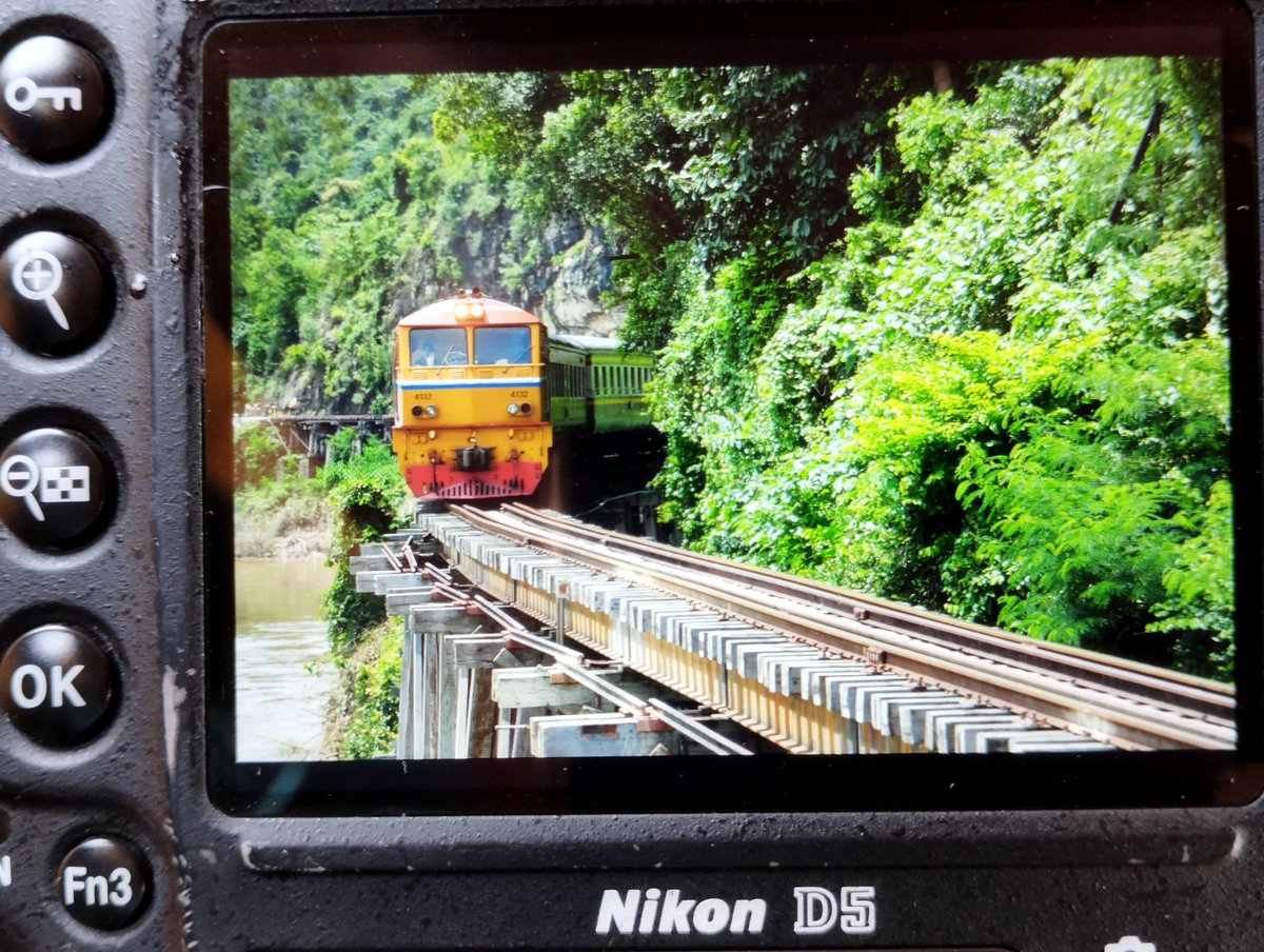 💀マヤカン🐥(@Sail_GT) - Twilog (ツイログ)