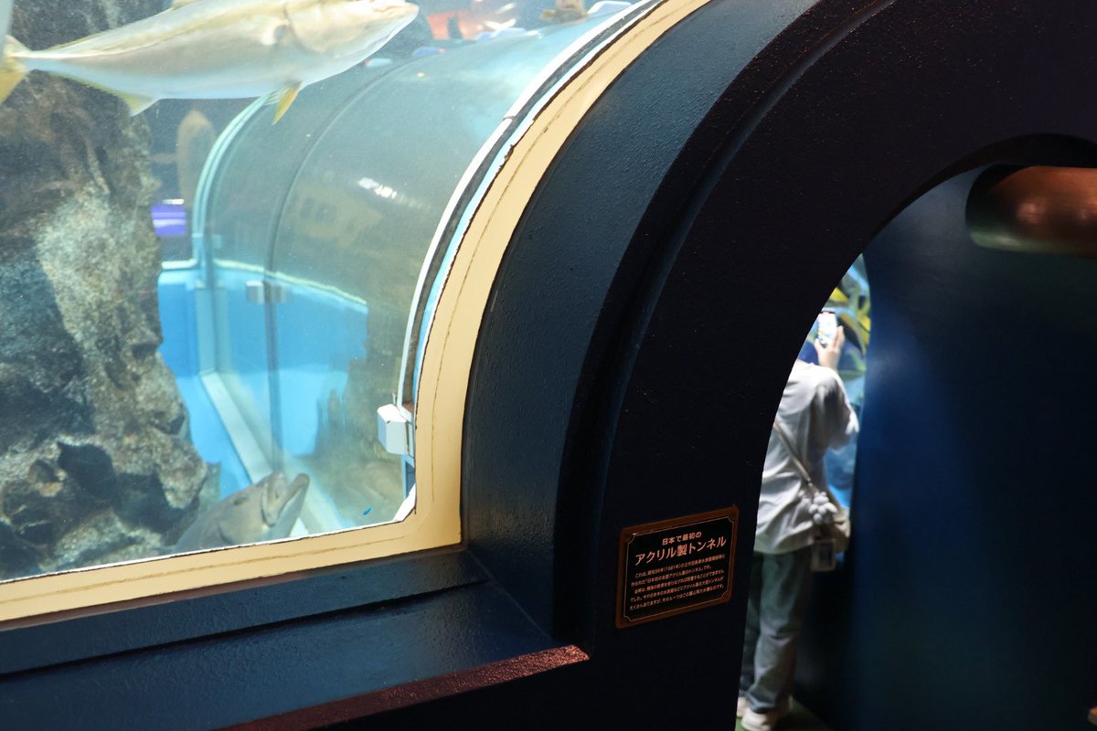 照月悠夜*smln(@smln_yuya3) - Twilog (ツイログ)