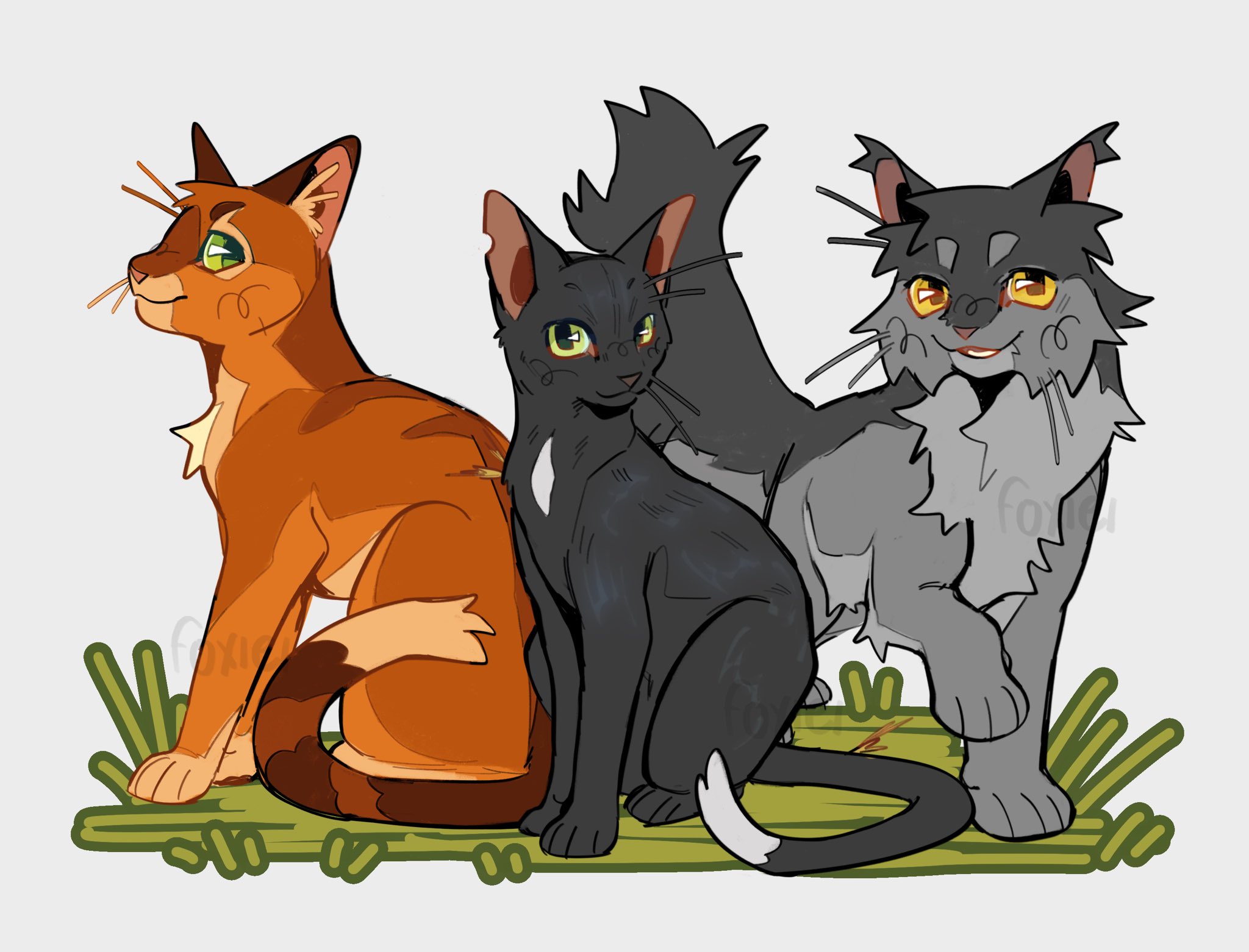 Warrior Cats Firestar X Bluestar FirePaw Meets BlueStar And GrayPaw