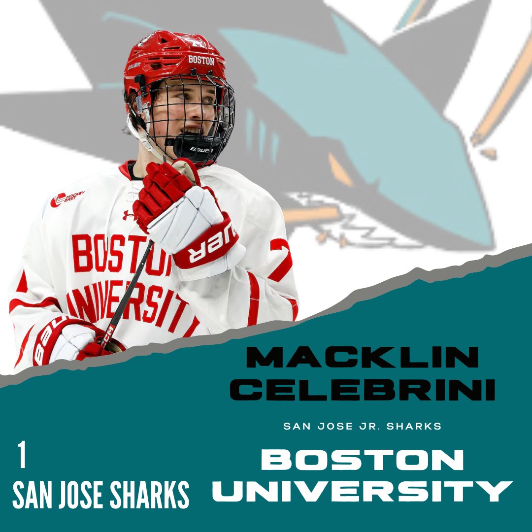 San Jose Jr Sharks Logo Jr. Sharks 9U 2014s – Hatty Ratty