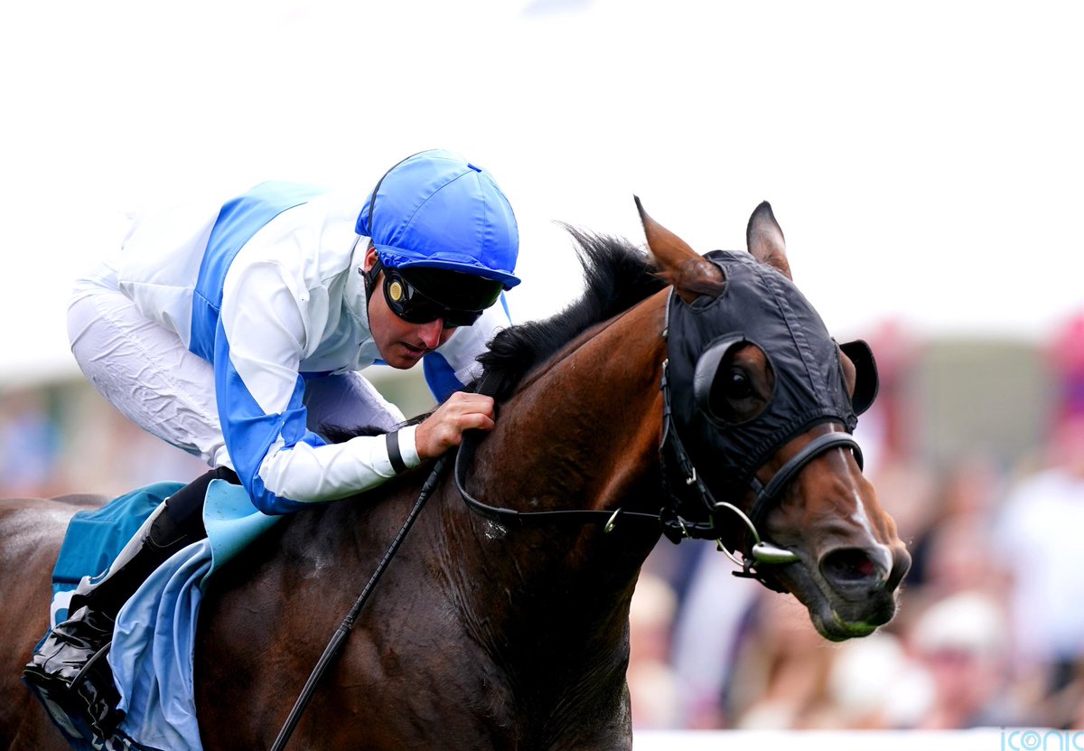 George Margarson Racing News - George Margarson Racing Racehorse Trainer