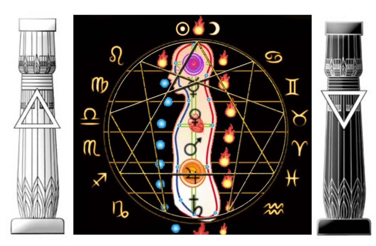 Semen Retention & the Creation of the Diamond Body🧵 In Muhammad Ali's ...