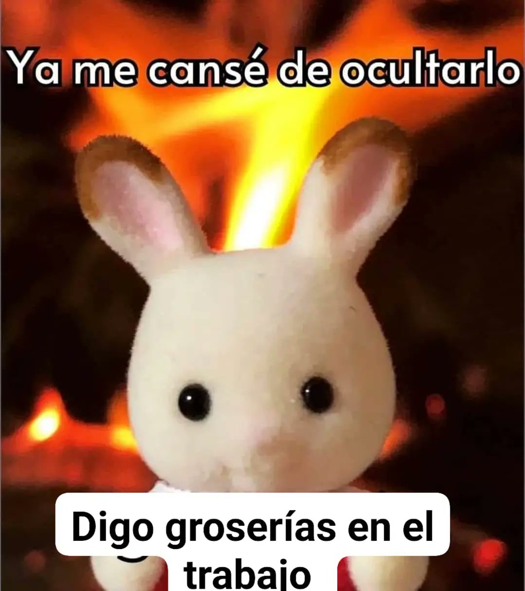 Memes De Groserias Pingüinos Groseros