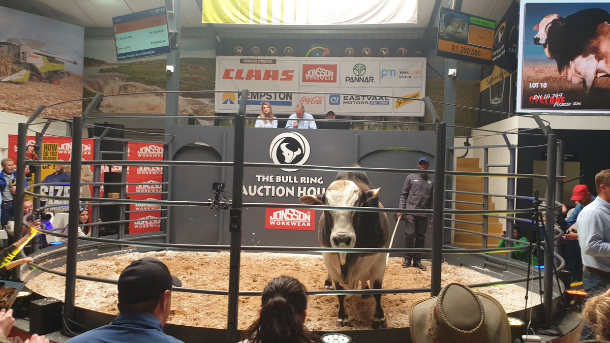 Congratulations to Sinyo Boran Stud in Zimbabwe on the record-breaking ...