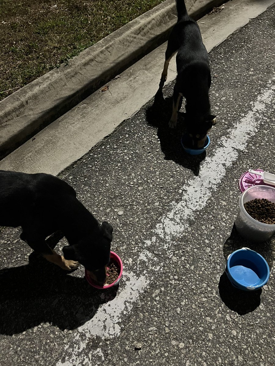 SouthernCross(@Southern_X777) - Twilog (ツイログ)