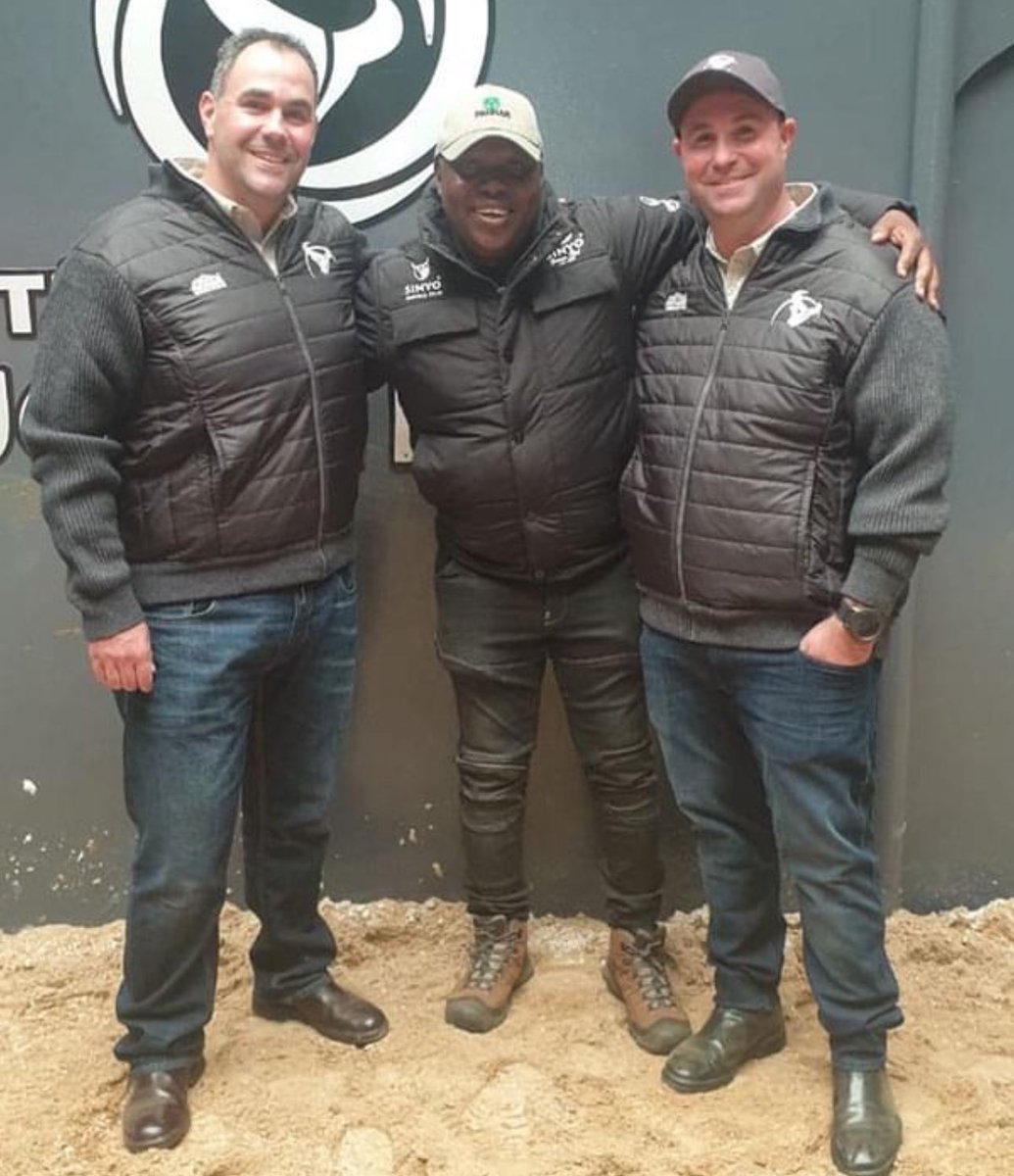 Cyclone, a Boran bull bred by Hurwitz farming, sets a South African🇿🇦 ...