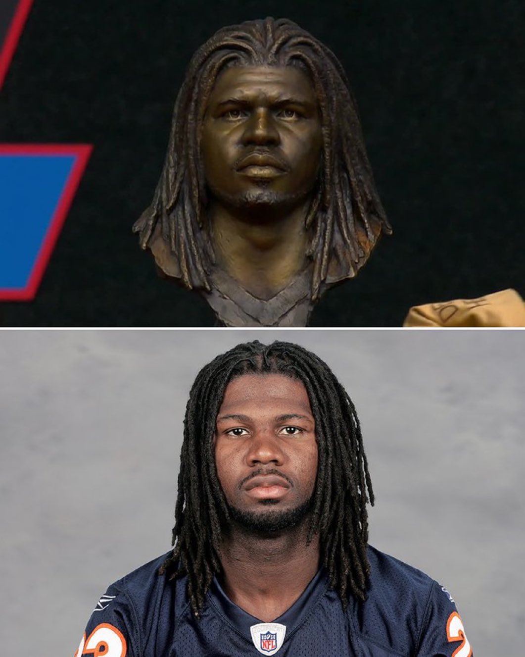 Devin Hester Dreadlocks