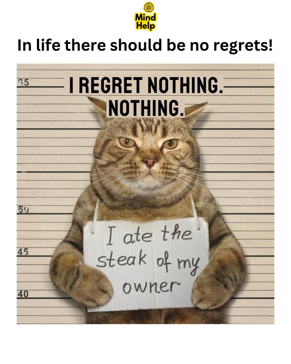 Life Regret Memes