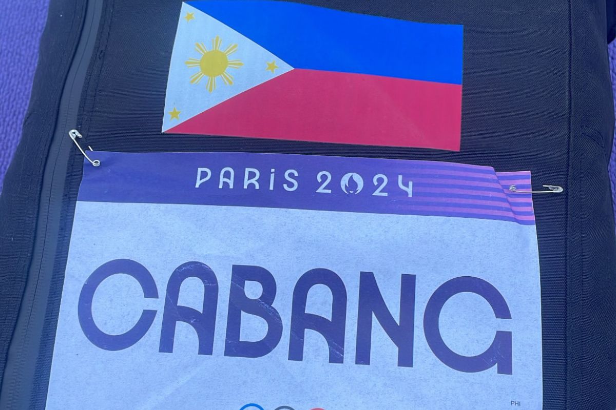 Gus Hoffman 2024 Get To Know Gus T. Bull! Windy City Bulls