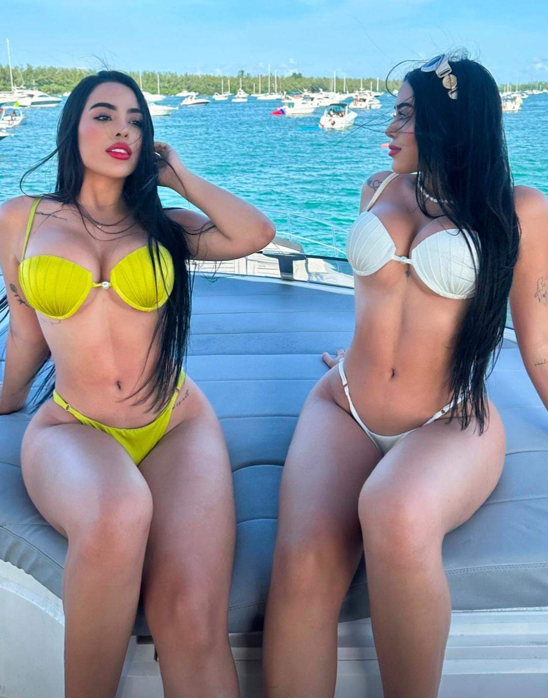 Bellas Gemelas En Bikini Video Con The Bella Twins Y Renee Young En
