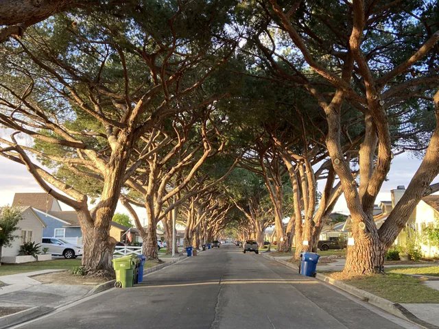 There's one very simple thing that can transform American cites and ...