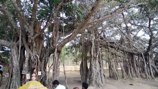 Krantiveera Sangoli Rayanna Born-August 15, 1798 Died- January 26, 1831 ...