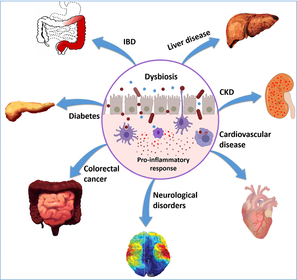 Thread by @sunnyriverr on Thread Reader App – Thread Reader App