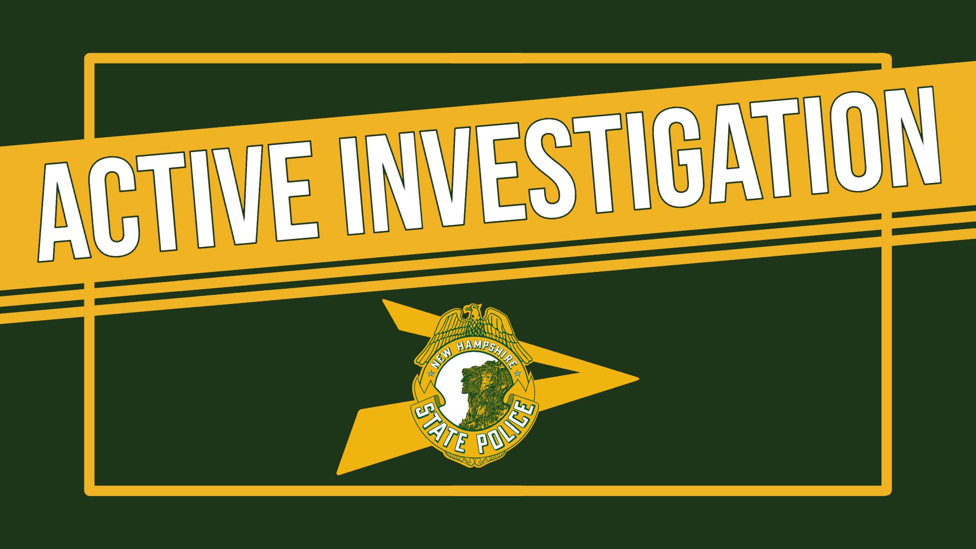 Investigation Logo
