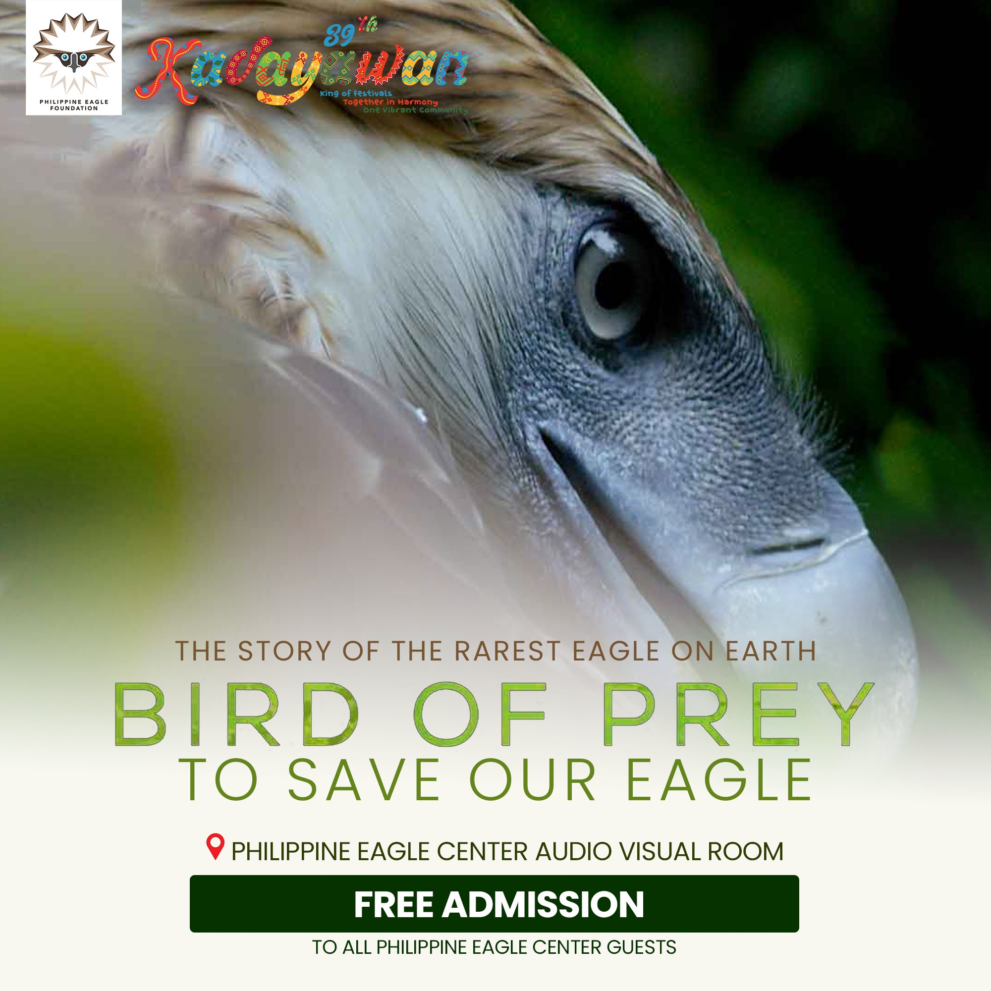Rarest Eagle In The World
