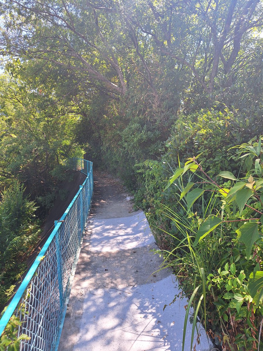 じゅん(@PLUS_1118) - Twilog (ツイログ)