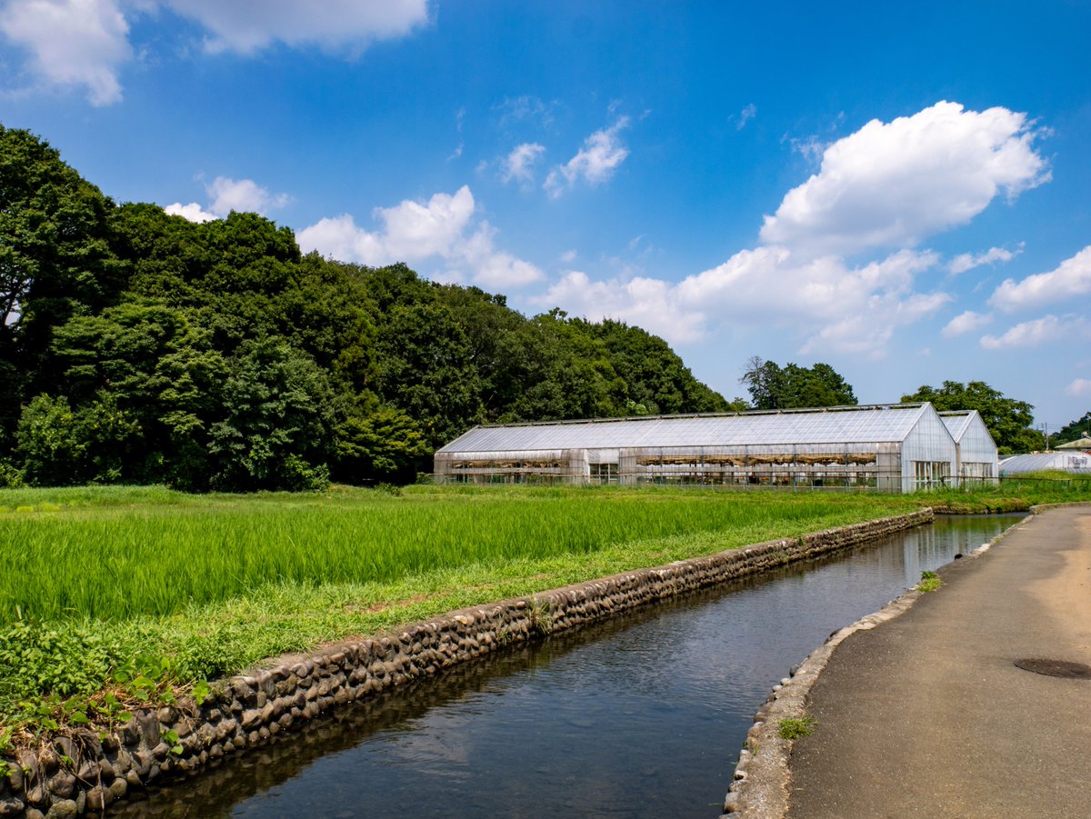 Takao Setaka(@twtko) - Twilog (ツイログ)