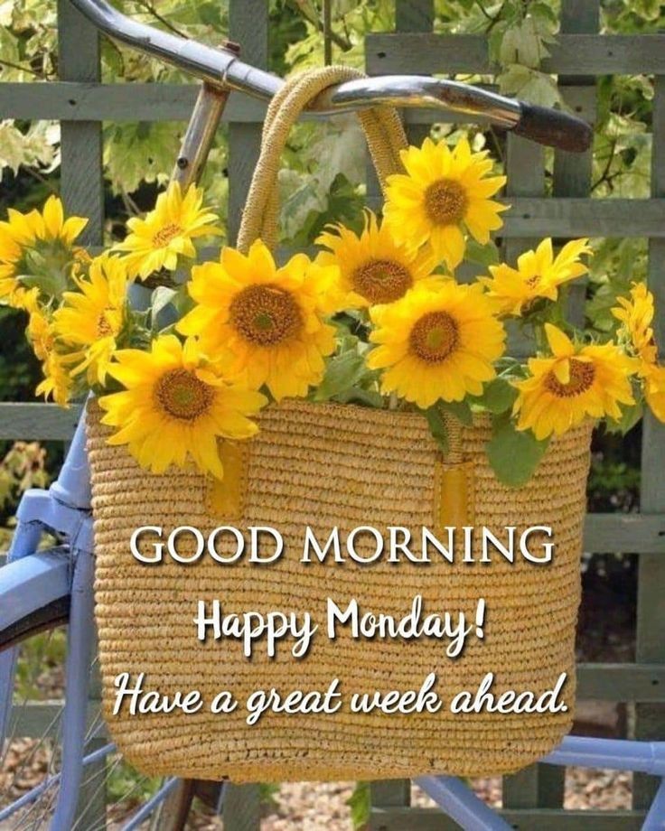 Images Of Good Morning Happy Monday Monday Morning Wishes To Start