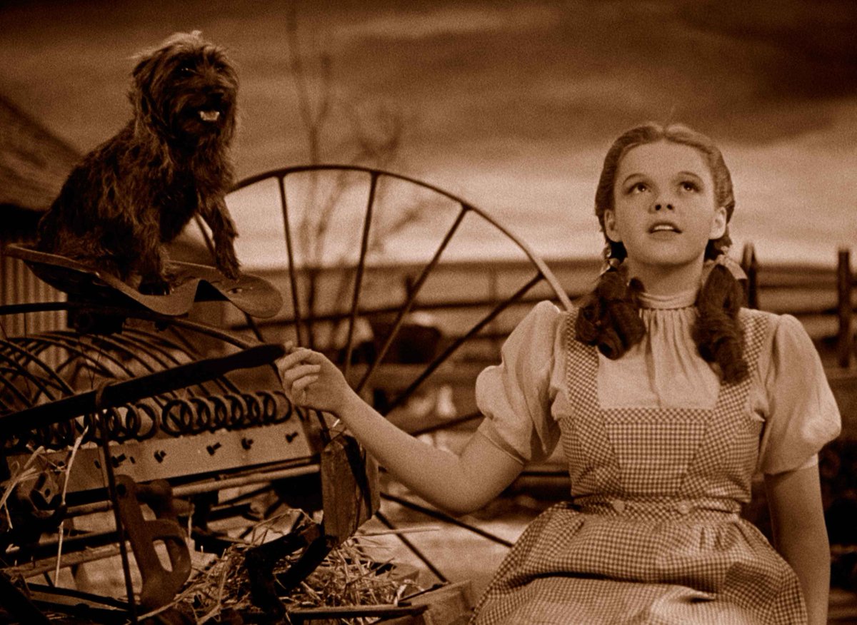 THE WIZARD OF OZ was released 85 years ago today. One of the most ...