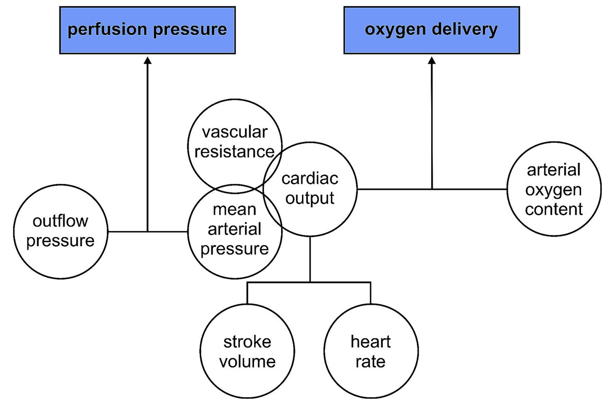 This is the weekly refresher on basic hemodynamic monitoring ...