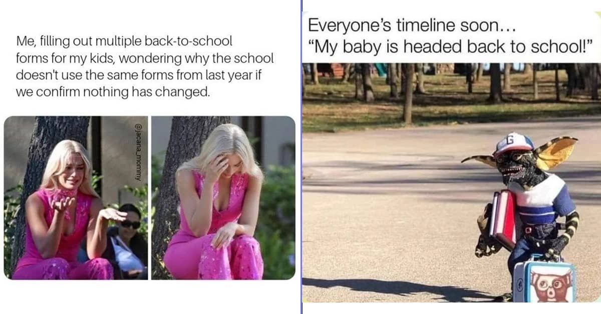 Funny Back To School Memes