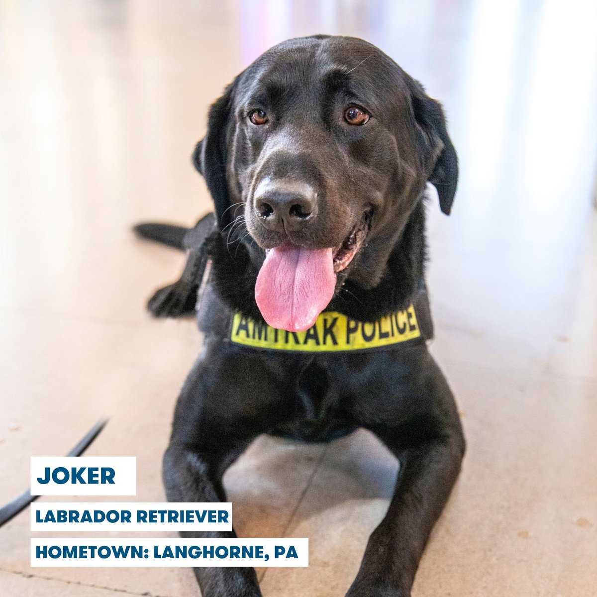 Amtrak APD Safety and Security B-Roll (1) - Amtrak Media