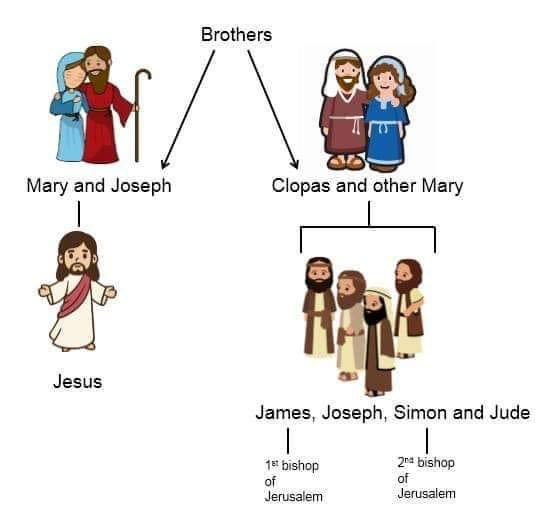 JESUS WAS THE ONLY SON OF MARY 1) The “brothers” of the Lord are ...