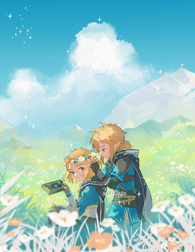 リンク(ゼルダの伝説) ,ゼルダ姫 「a field of wild flowers#zelink #botw (mi」|cali🔅 ...