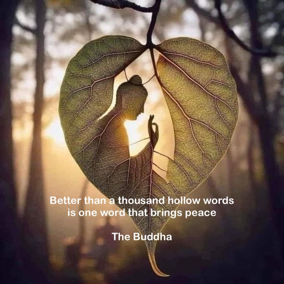 Hollow Words Quotes Nothing Is More Attractive Than Loyalty