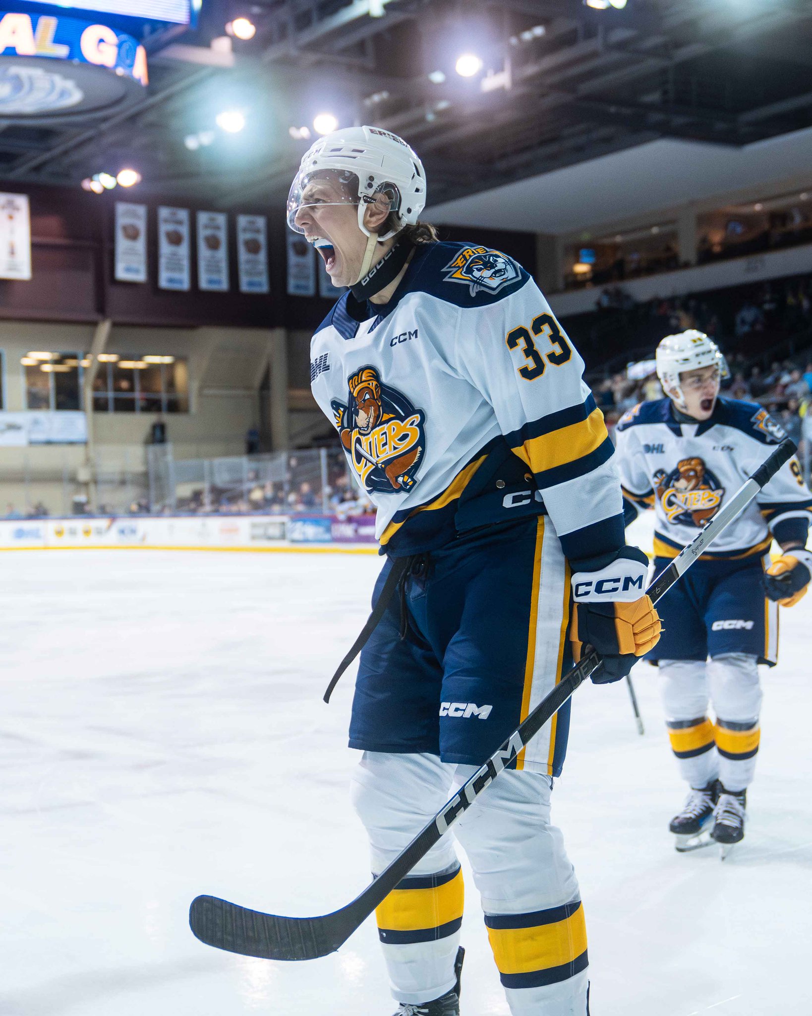 Erie Otters Seating Chart