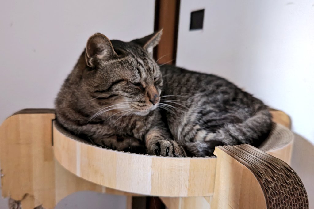 仁平政人 NiheiMasato(@m_nh) - Twilog (ツイログ)