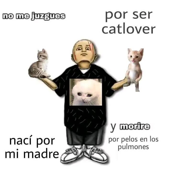 Morire Memes KFC (@KFC_ES) On X