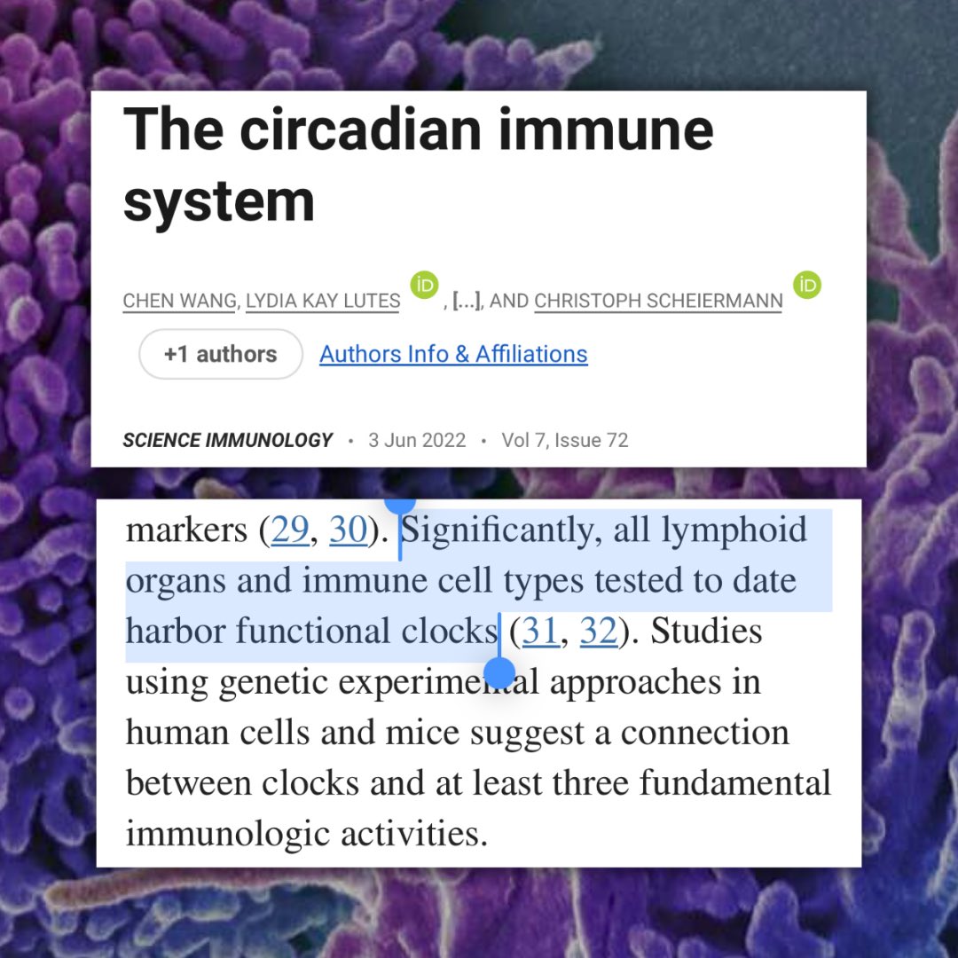 Unsurprisingly, circadian biology controls the immune system Timing of ...