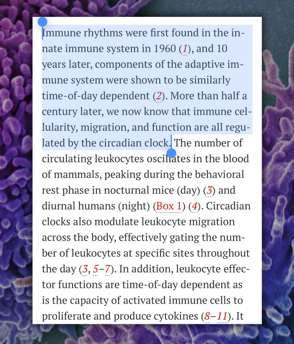 Unsurprisingly, circadian biology controls the immune system Timing of ...