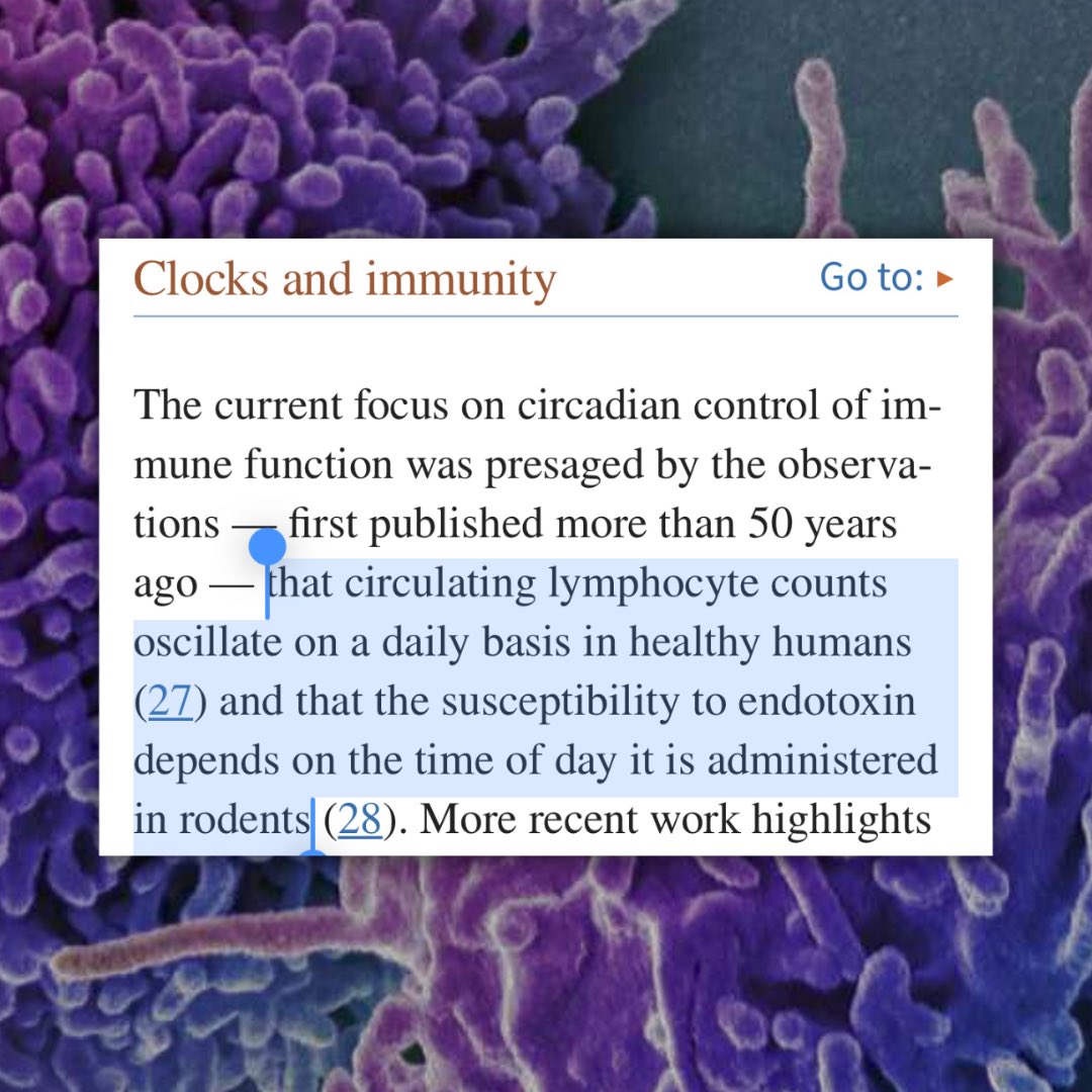 Unsurprisingly, circadian biology controls the immune system Timing of ...