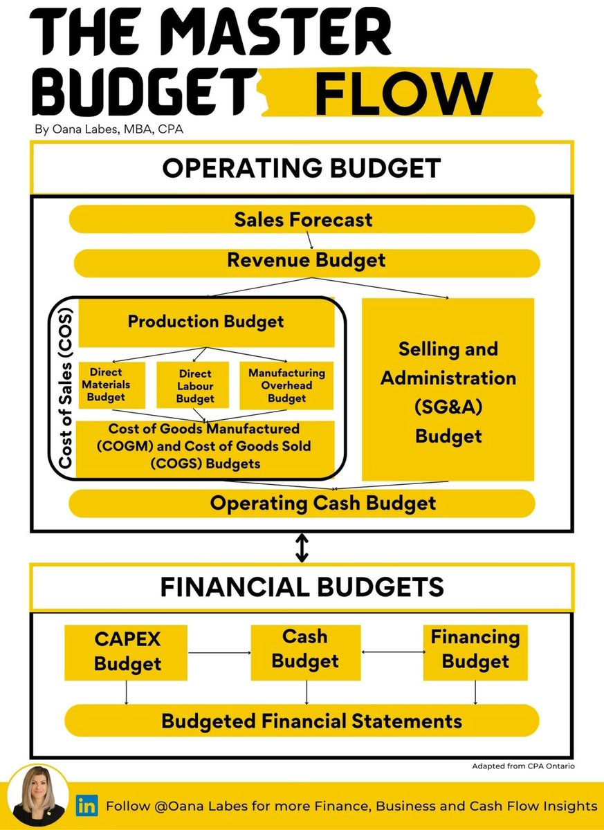 Are you Mastering your Master Budget? - المسلسل من Oana Labes ...