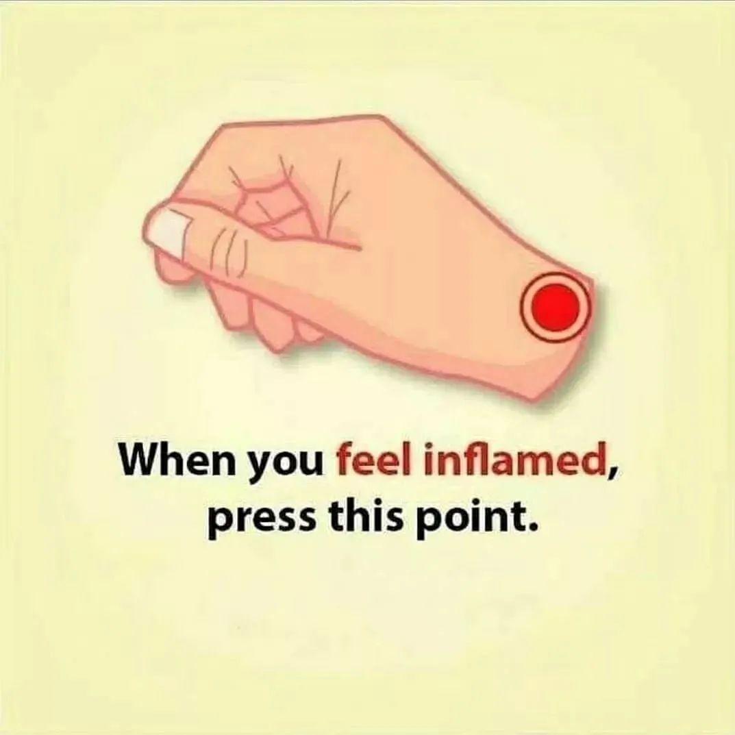 Dr. Martin Hartmann's Threads – Thread Reader App