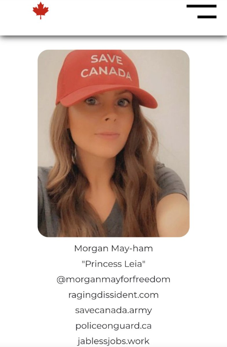 Dearest Gentle Readers, The season's diamond, Lady Daxton McKee, is our ...