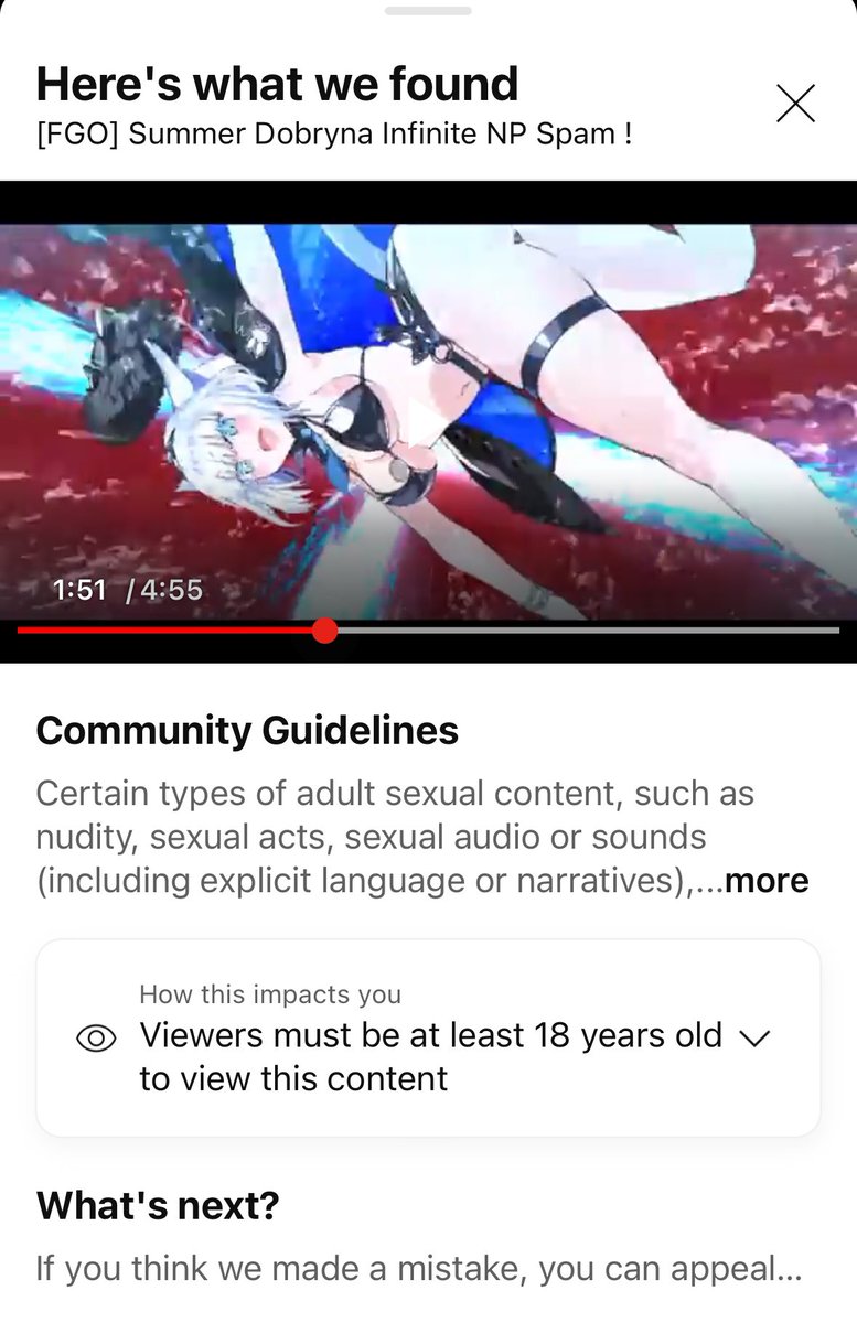 [FGO] 因為太色被YT盯上的FGO寶具動畫 - PTT評價