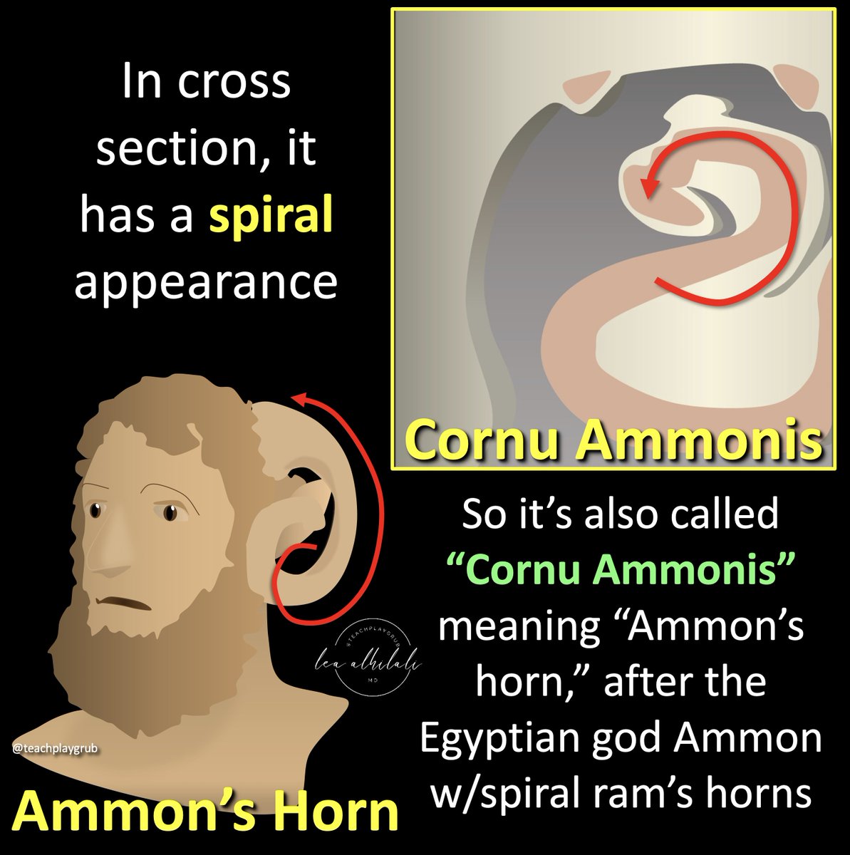 Thread by @teachplaygrub on Thread Reader App – Thread Reader App