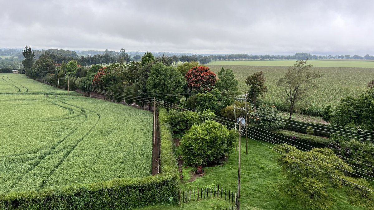 Thread by @Bossyator on Thread Reader App – Thread Reader App