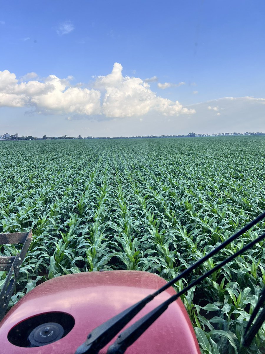 Thread by @Bossyator on Thread Reader App – Thread Reader App