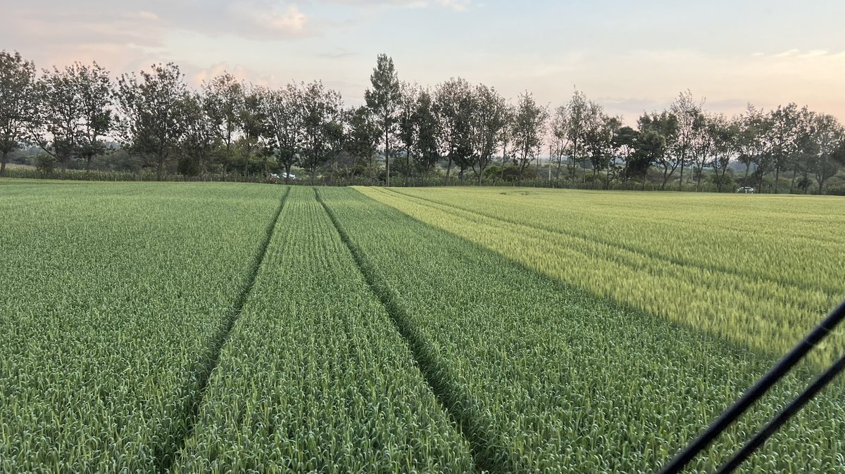 Thread by @Bossyator on Thread Reader App – Thread Reader App